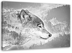 Gario Obraz na plátně Vlk na sněhovém pozadí Rozměry: 60 x 40 cm