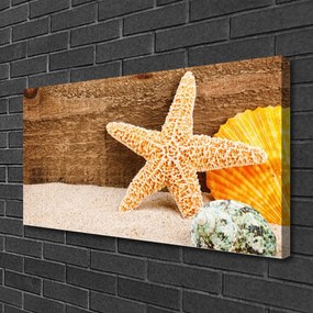 Obraz na plátně Písek Hvězdice Umění 100x50 cm