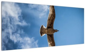 Obraz letícího ptáka (100x40cm)