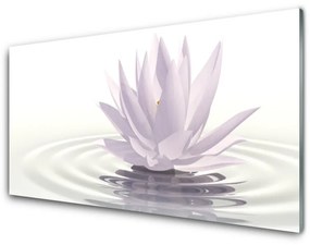akrylový obraz Květ Voda Umění 100x50 cm