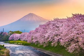 Samolepící fototapeta nádherné Japonsko