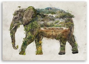 Gario Obraz na plátně Slon a expedice - Barrett Biggers Rozměry: 60 x 40 cm