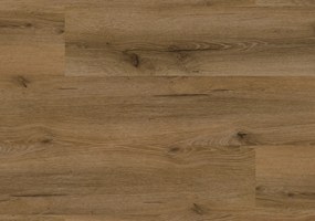 Lepená vinylová podlaha Authentic Oak 0,55 - 2040 Dub Vévodský - 228,6×1219,2 mm