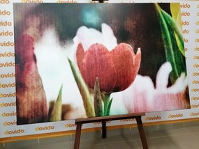 Obraz louka tulipánů v retro stylu - 120x80 cm