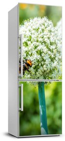 Wallmuralia Nálepka fototapeta Květy česneku 60x180 cm