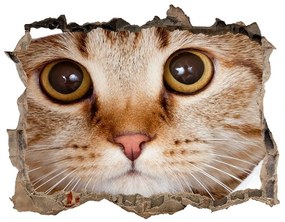 Wallmuralia Díra 3D fototapeta nálepka Kočka 95x64 cm