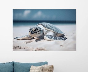 Obraz na plátně - želva na písečné pláži FeelHappy.cz Velikost obrazu: 150 x 100 cm