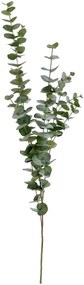 Větvička eukalyptu 120 cm