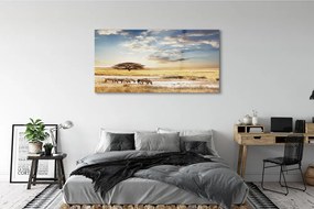 akrylový obraz Zebra mraky strom 140x70 cm