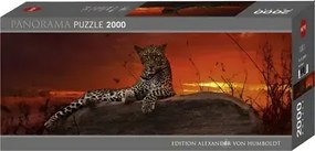 HEYE Panoramatické puzzle Svítání (Keňa) / 2000 dílků / 136 × 48 cm