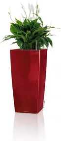 Lechuza Cubico Premium 22 cm - scarlet