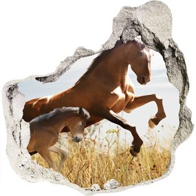 Wallmuralia Díra 3D fototapeta Kobyla s hříbětem 75x75 cm