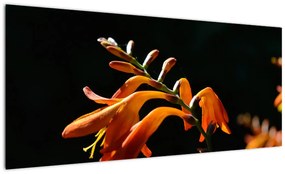 Obraz detailu květiny (100x40cm)