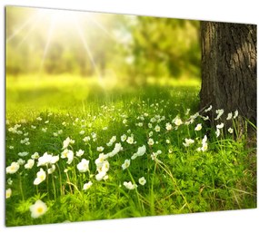 Skleněný obraz paseky a květin (70x50 cm)
