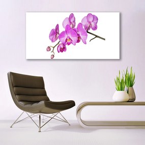 Plexisklo-obraz Vstavač Orchidej Květiny 120x60 cm