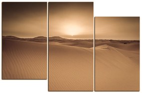 Obraz na plátně - Pouště Sahara 1131FD (105x70 cm)