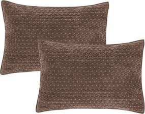 Povlaky na polštáře v sadě 2 ks 50x75 cm Attica Velvet – Bianca