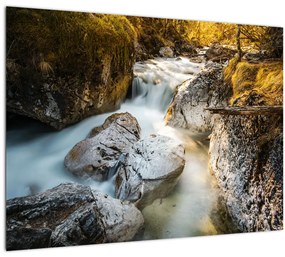 Skleněný obraz - Lesní potok (70x50 cm)