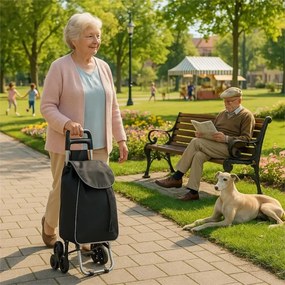 Nákupní taška na kolečkách 30L SPRINGOS CARRINA černá