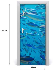 Samolepící fototapeta na dveře Korálové ryby 85x205 cm