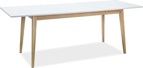 Casarredo - Komfort nábytek Rozkládací jídelní stůl CESAR 120x68 bílá/dub