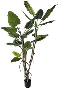 Umělá květina (výška 190 cm) Alocasia – Bizzotto