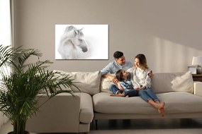 Obraz Bílý Kůň V Mlze Nedostatek Nedostatek Plátno Canvas 90x60