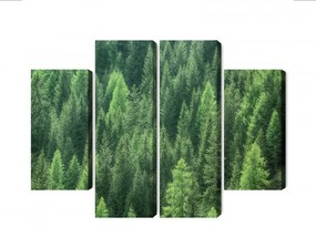 Vícedílný obraz 3D Pohled Na Zelený Les Nedostatek Nedostatek Přírodní plátno 200x150