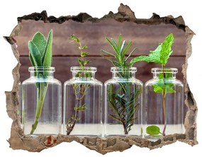 Wallmuralia Samolepící nálepka Rostliny ve sklenicích 95x64 cm