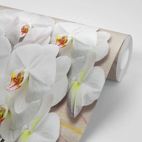 Tapeta bílá orchidej na plátně