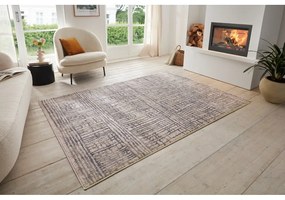 Šedý koberec 340x240 cm Terrain - Hanse Home