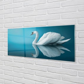 akrylový obraz Swan ve vodě 120x60 cm