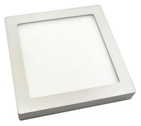 LED stropní svítidlo RIKI-P LED SMD/18W/230V 225x225 mm