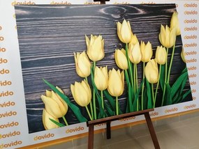 Obraz očarující žluté tulipány na dřevěném podkladě - 90x60 cm
