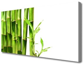 Obraz na plátně Bambus Rostlina 120x60 cm