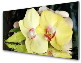 Obraz na skle Okvětní Plátky Orchidej 120x60 cm