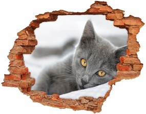 Wallmuralia Díra 3D fototapeta nálepka Šedá kočka 90x70 cm