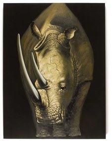 Velký obraz Nosorožec 150x200