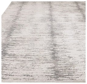 Koberec 120x160 cm Anders Grey – Asiatic Carpets