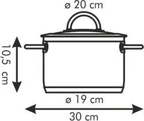 TESCOMA Kastrol VISION s poklicí ø 20 cm, 3,0 l