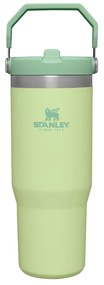 Zelená termoska 890 ml – Stanley