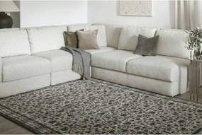 Antracitový vlněný koberec 200x300 cm Agnus Classic – Agnella