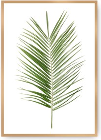 Plakát Palm Leaf Green