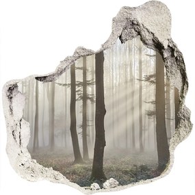 Wallmuralia Nálepka 3D díra samolepící Mlha v lese 75x75 cm