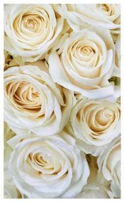 DIMEX | Vliesová fototapeta na zeď Bílé růže MS-2-0137  | 150 x 250 cm | bílá, krémová