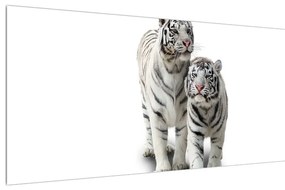 Obraz bílého tygra (100x40 cm)