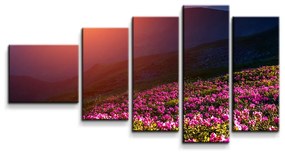 Sablio Obraz - 5-dílný Rozkvetlá příroda - 100x60 cm