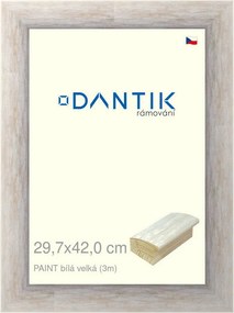 DANTIK rámeček 29,7x42 | PAINT bílá velká (Plexi Čiré)