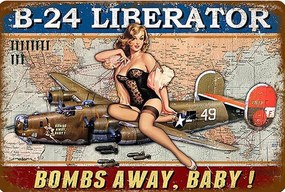 Plechová cedule B -24 Liberator Velikost: A5 (20 x 15 cm)