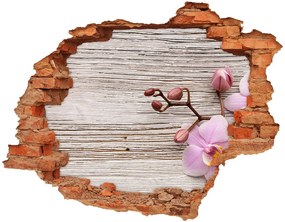 Wallmuralia Samolepící díra na stěnu Orchidej na stromě 90x70 cm